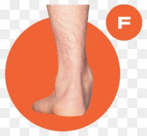 Clip Art Library Download Ankle Drawing Human Foot - Poster - Free ...