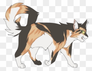 “fox Dung I'm A Loyal Shadowclan Cat - Cat - Free Transparent PNG ...