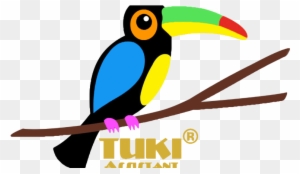Tuki Encyclopedia - Encyclopedia - Free Transparent PNG Clipart Images ...