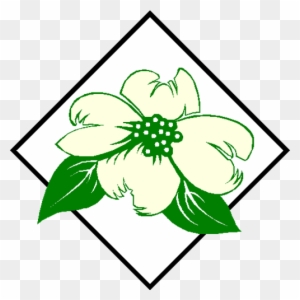 Dogwood Flower - Dogwood Flower Png - Free Transparent PNG Clipart ...