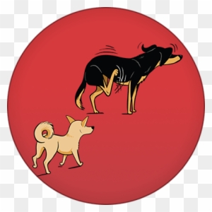 Meet Diamond - Dog - Free Transparent PNG Clipart Images Download