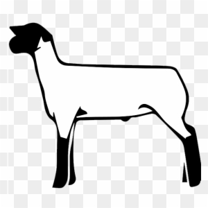 Lamb Clipart Club Lamb - Club Lamb Silhouette - Free Transparent PNG Clipart Images Download