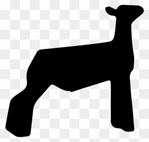 Free Show Lamb Clip Art Sheep Graphics Clublamb Images - Free Show Lamb Clip Art Sheep Graphics ...