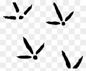 Turkey Tracks - Turkey Tracks Png - Free Transparent PNG Clipart Images ...