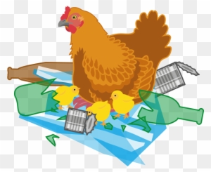 Hen With Chicks Sitting On Rubbish - Chicken - Free Transparent PNG ...