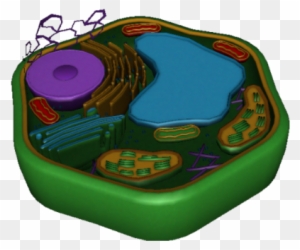Plant Cell Clip Art, Transparent PNG Clipart Images Free Download ...