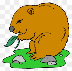 Wombat By Potatotter - Animated Wombat Gif - Free Transparent PNG ...