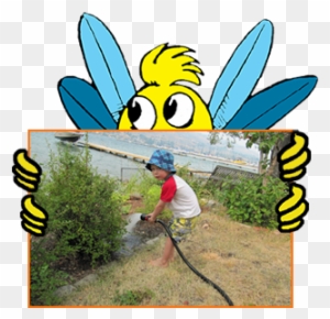 Hug Bug Club Photos - Fan Mail - Free Transparent PNG Clipart Images ...