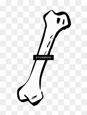 Human Knee Bones Png Clipart - Serviço De Ortopedia E Traumatologia ...