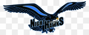 Irhs Nighthawks Logo