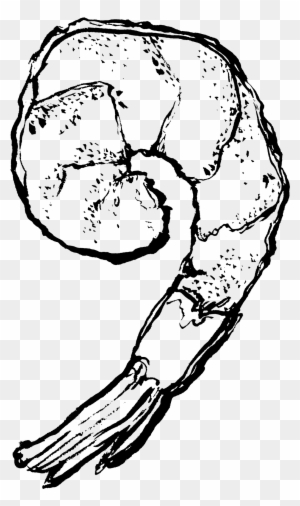 Fair Weather Friend - Fair Weather Friend - Free Transparent PNG ...