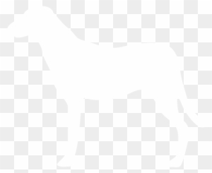 Dog Walking Services - Dog White Icon Png - Free Transparent PNG ...