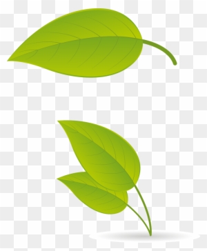 June - Tree - Free Transparent PNG Clipart Images Download