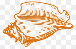 Shell Conch Orange - Shell Conch Orange - Free Transparent PNG Clipart ...