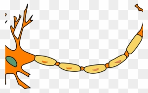 Synapse - Free Transparent PNG Clipart Images Download