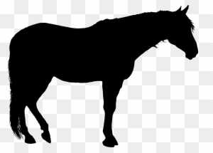 Horse Standing Silhouette, Horse Rider Silhouette Clipart - Horse ...