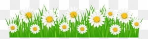 Flowers And Grass Png Picture Clipart - Spring Flowers Transparent ...