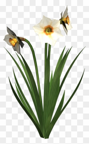 Display Resolution Clip Art - Town Png - Free Transparent PNG Clipart ...