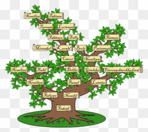 Free Uchiha Family Tree Download Free Uchiha Family Tree Png Images