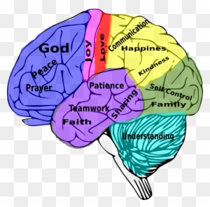 Brain Clipart Metacognition - Brain Clip Art - Free Transparent PNG ...