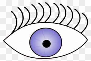 Anatomy - Clipart - Eye Clip Art - Free Transparent PNG Clipart Images ...