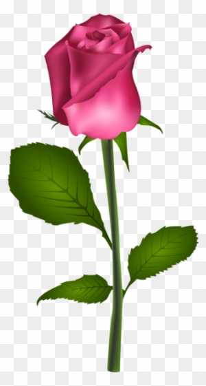 Red Rose Clip Art - Rose Bud Png - Free Transparent PNG Clipart Images ...