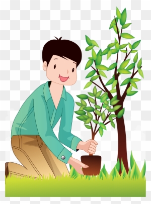 Growing Tree Clipart