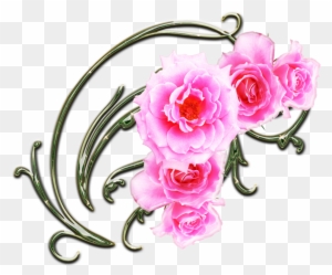 Pink Rose Border Clip Art Swirls - Hybrid Tea Rose - Free Transparent ...