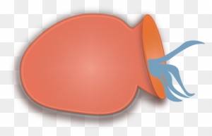 Takotsubo Cardiomyopathy - Takotsubo Cardiomyopathy - Free Transparent ...