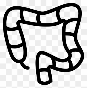 Colon Comments - Large Intestine - Free Transparent PNG Clipart Images ...