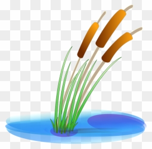 Reeds Clip Art - Reeds Clipart - Free Transparent PNG Clipart Images ...