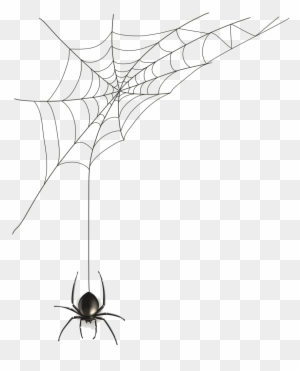 848 X 1024 11 - Spider Home Png - Free Transparent PNG Clipart Images ...