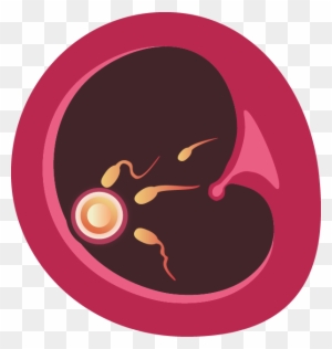 Conception - Circle - Free Transparent PNG Clipart Images Download