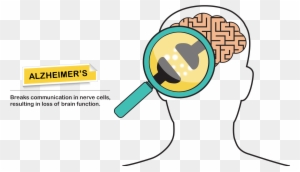 Brain Memory Clipart, Transparent PNG Clipart Images Free Download ...