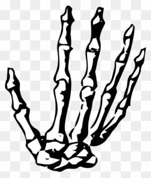 Skeleton Hand No Background - Free Transparent PNG Clipart Images Download
