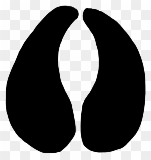 Cow Footprint Clipart Paw Prints - Cow Footprint Png - Free Transparent ...