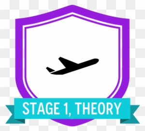 Badge Icon "airplane " Provided By The Noun Project - Badge Icon ...