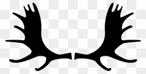 Moose Antler Outline