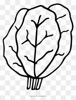 Kale Coloring Page - Drawing - Free Transparent PNG Clipart Images Download