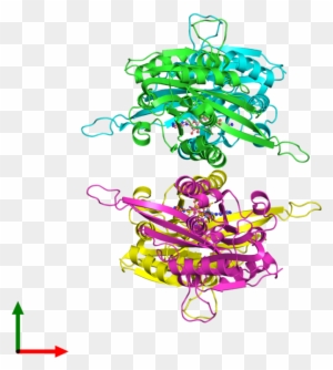 Glycine Structure Protein Chain - Illustration - Free Transparent PNG ...