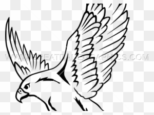 Drawn Falcon Svg - Falcon Drawing Png - Free Transparent PNG Clipart ...