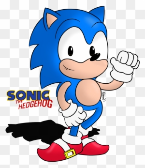 Cute Hedgehog By Vectormuffin - Sonic The Hedgehog 3 - Free Transparent ...