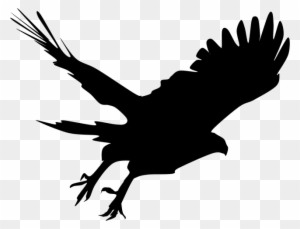 Harris Hawk Clipart Hawk Outline - Silhouette Of A Hawk - Free ...