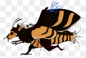 Death's-head Moth By Ginsasori - Cartoon - Free Transparent PNG Clipart ...