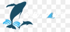 Captain Dave's Dolphin And Whale Safari Logo - Captain Dave's Dolphin ...