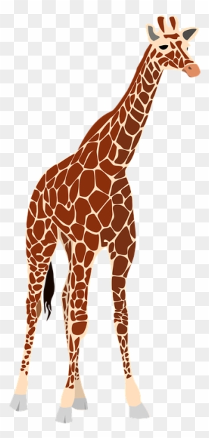 Real Giraffe Clip Art - Free Transparent PNG Clipart Images Download