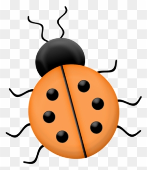 Orange Ladybug Clip Art - Orange Ladybug Cartoon - Free Transparent PNG ...