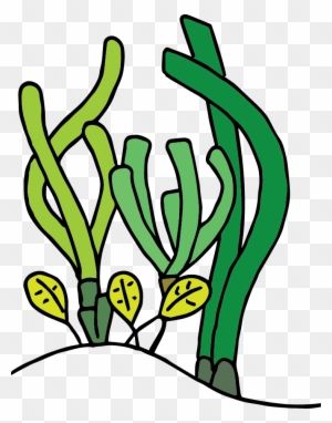 Seagrass Png - Free Transparent PNG Clipart Images Download