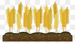 Clip Art Of Crops - Crops Clipart - Free Transparent PNG Clipart Images ...