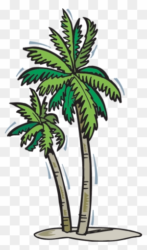 A Walk In The Rain Forest - Transparent Tropical Tree Gif - Free ...
